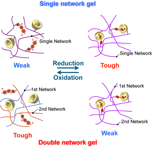 Reversing Redox Responsiveness of Hydrogels due to Supramolecular Interactions by Utilizing ...