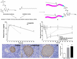 Rational design of dimeric lipidated Xenopus glucagon-like peptide 1 ...