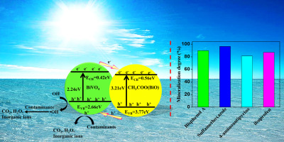 BiVO 4 / CH 3 COO（BiO）异质结构纳米复合物高效光催化去除多种难降解有机污染物,Science of the Total ...