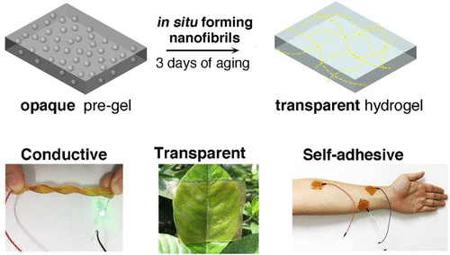 Transparent, Adhesive, and Conductive Hydrogel for Soft Bioelectronics ...