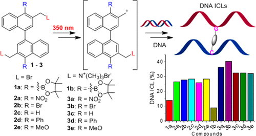 设计，合成和表征双萘前体作为光活化DNA链交联剂,The Journal of Organic Chemistry - X-MOL