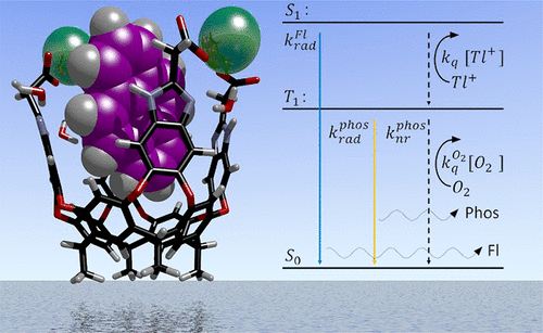Boosting the Heavy Atom Effect by Cavitand Encapsulation: Room ...