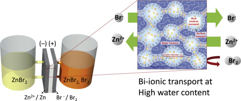 Scaling the water cluster size of Nafion Membranes for a high ...