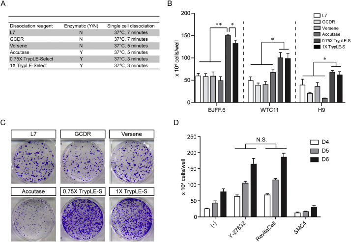 Improving single-cell cloning workflow for gene editing in human ...