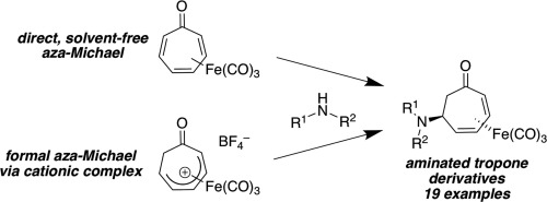 Formal aza-Michael additions to tropone: Addition of diverse aryl- and ...