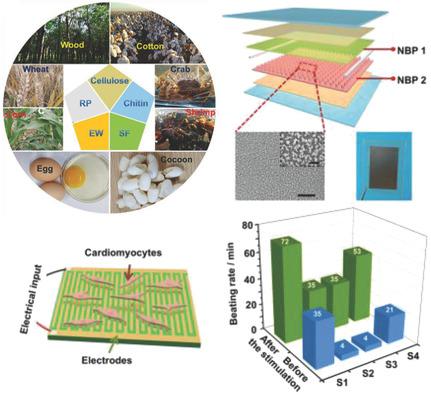 Fully Bioabsorbable Natural‐Materials‐Based Triboelectric ...