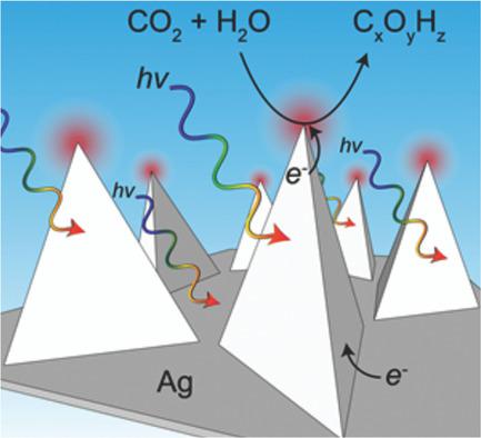 Surface‐Plasmon‐Assisted Photoelectrochemical Reduction of CO2 and NO3− ...