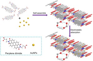 Visible-light photocatalysis of PDI nanowires enhanced by plasmonic ...