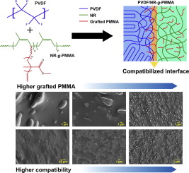 Compatibilization of Poly(vinylidene fluoride)/Natural Rubber Blend by ...