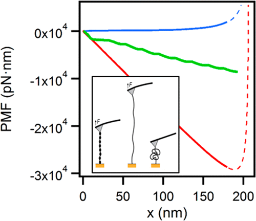 Segmentation and the Entropic Elasticity of Modular Proteins,The ...