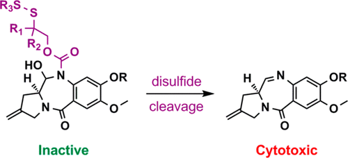 Exploration of Pyrrolobenzodiazepine (PBD)-Dimers Containing Disulfide ...