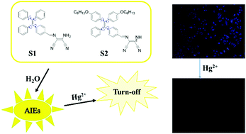 Fluorescence probes based on AIE luminogen: application for sensing Hg2 ...