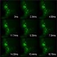 Temporal multiplexing of the scientific grade camera for hyper-frame ...
