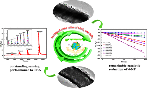 Tunable MoS2/SnO2 P–N Heterojunctions for an Efficient Trimethylamine ...