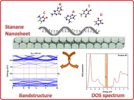 Density functional study on the binding properties of nucleobases to ...