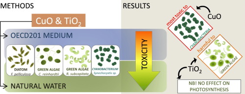 Environmental safety data on CuO and TiO2 nanoparticles for multiple ...