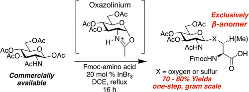 Simple and Efficient Preparation of O- and S-GlcNAcylated Amino Acids ...