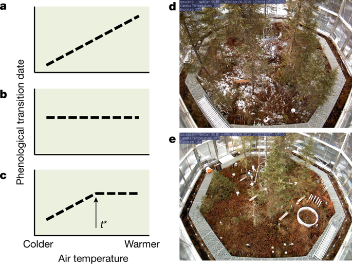Ecosystem warming extends vegetation activity but heightens ...