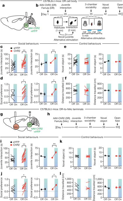 5-HT release in nucleus accumbens rescues social deficits in mouse ...