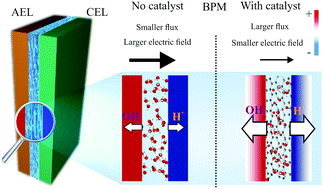 The balance of electric field and interfacial catalysis in promoting ...
