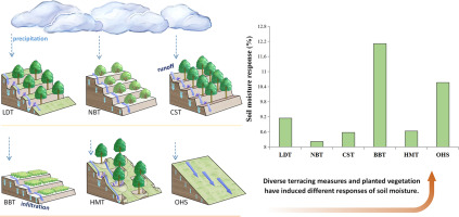 The effects of terracing and vegetation on soil moisture retention in a ...