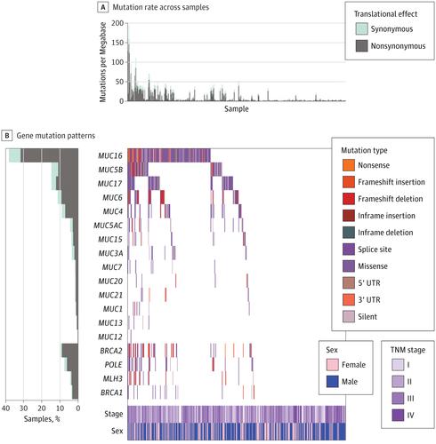 Association of MUC16 Mutation With Tumor Mutation Load and Outcomes in ...