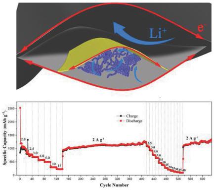 Flexible Graphene‐Wrapped Carbon Nanotube/Graphene@MnO2 3D Multilevel ...