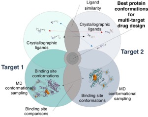基于结构的多药理学研究中蛋白质构象的选择,Drug Discovery Today - X-MOL
