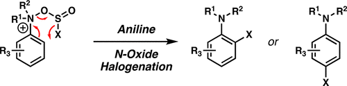 Synthesis of Halogenated Anilines by Treatment of N,N-Dialkylaniline N ...