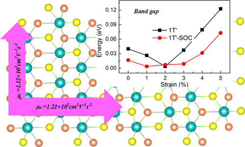 Distorted Janus Transition Metal Dichalcogenides: Stable Two ...