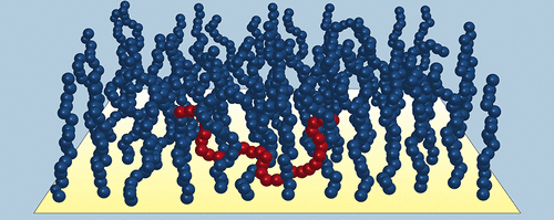 Blob Size Controls Diffusion of Free Polymer in a Chemically Identical ...