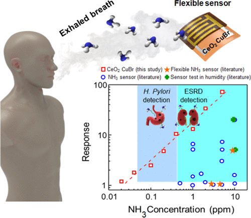 Flexible Room-Temperature NH3 Sensor for Ultrasensitive, Selective, and ...