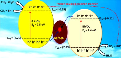 High charge transfer response of g-C3N4/Ag/AgCl/BiVO4 microstructure ...