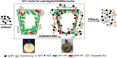 Fate and inhibitory effect of silver nanoparticles in high rate moving ...