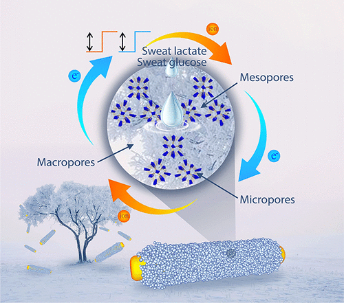 Rimelike Structure-Inspired Approach toward in Situ-Oriented Self ...