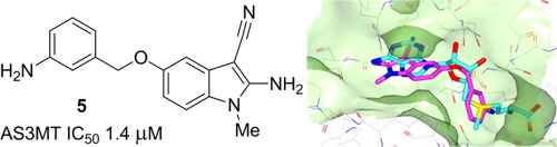 Novel inhibitors of As(III) S-adenosylmethionine methyltransferase ...