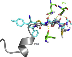 作为流感病毒PA-PB1相互作用抑制剂的杂化衍生物文库的合成和生物学评价,European Journal of Medicinal ...