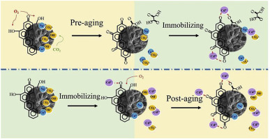 Contrasting impacts of pre- and post-application aging of biochar on ...