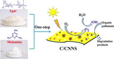 Facile one-step synthesis of onion-like carbon modified ultrathin g-C3N4 2D nanosheets with ...