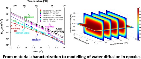 Water diffusion with temperature enabling predictions for sorption and ...