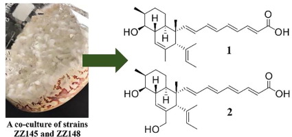 Novel antifungal janthinopolyenemycins A and B from a co-culture of ...