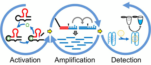A Simple Colorimetric System for Detecting Target Antigens by a Three ...