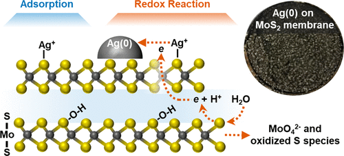 Removal and Recovery of Heavy Metal Ions by Two-dimensional MoS2 Nanosheets: Performance and ...