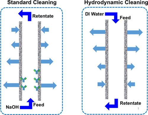 Development of a Hydrodynamic Cleaning Cycle for Ultrafiltration ...