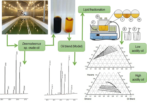 Liquid–Liquid Extraction of Neutral Lipids and Free Fatty Acids from ...