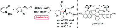 Direct β-selectivity of α,β-unsaturated γ-butyrolactam for asymmetric ...