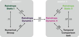 Robustness of individual differences in temporal interference effects ...