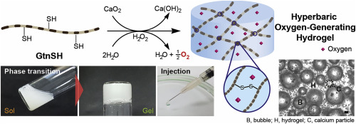 Hyperbaric oxygen-generating hydrogels,Biomaterials - X-MOL