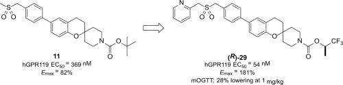 Discovery of novel spiro[chromane-2,4′-piperidine] derivatives as ...