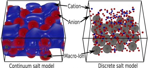 Discrete and Continuum Models for the Salt in Crowded Environments of ...